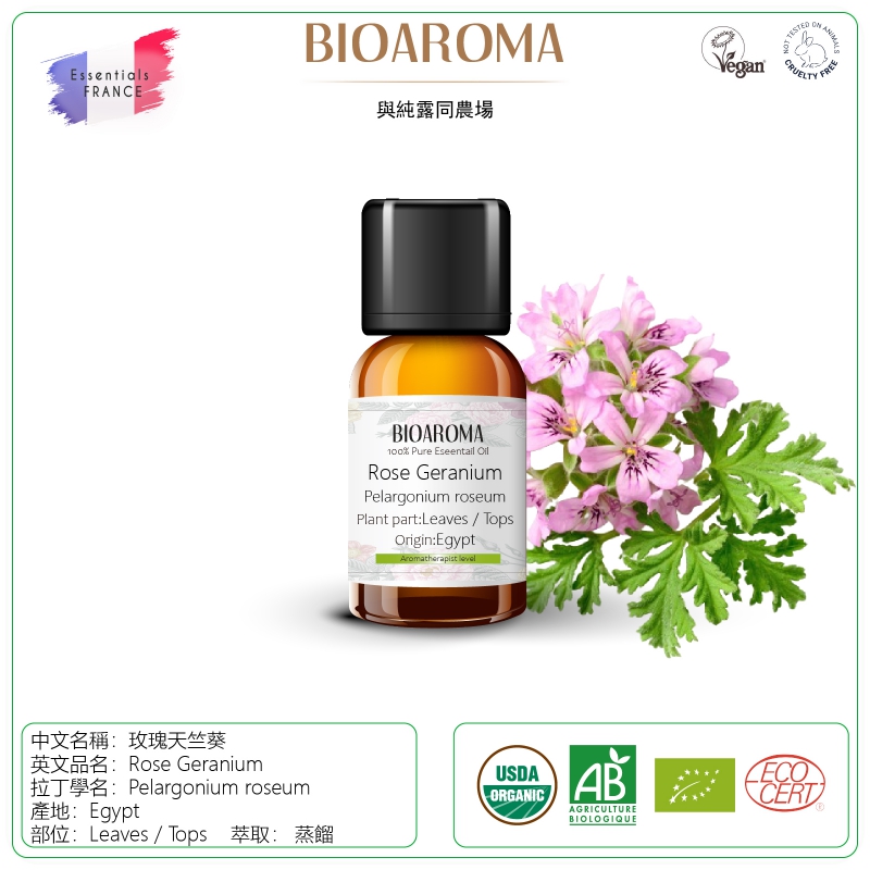 Rose Geranium-Pelargonium roseum 玫瑰天竺葵精油(與純露同農場) 芳香療網