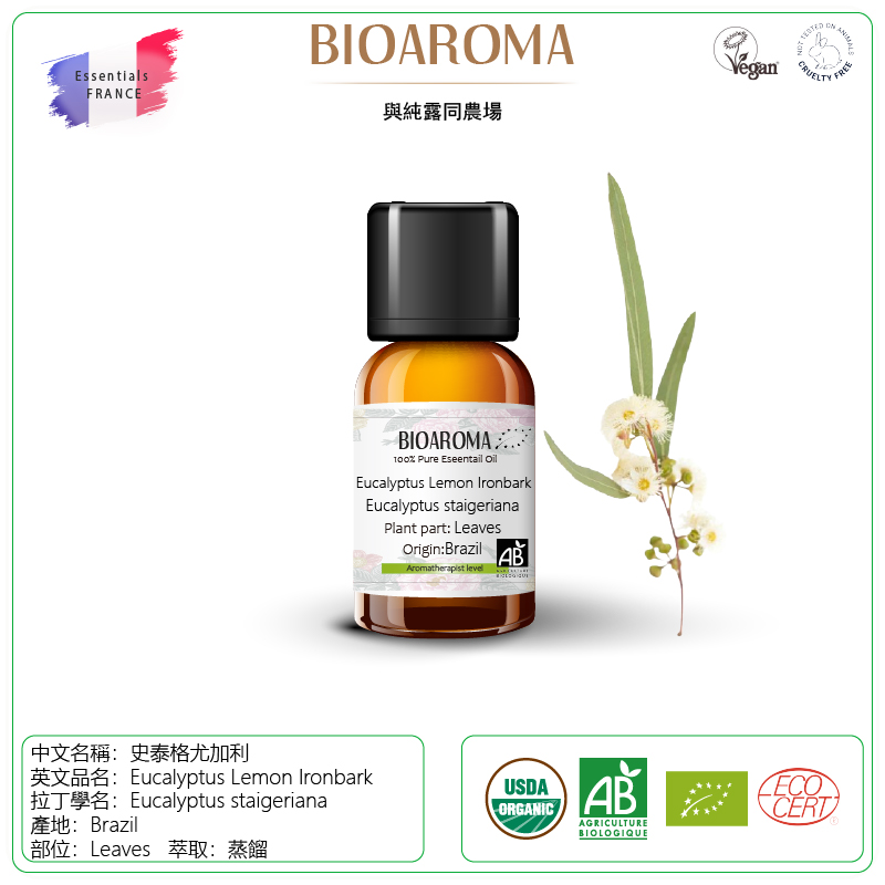 芳香疗网